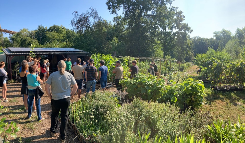 Sélection & Hybridation - Le travail du Bois de Rode Bos | Bois de Rode Bos