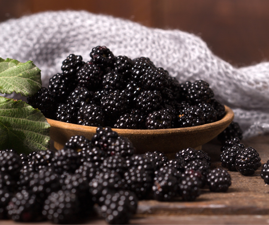 Fruittelg van braamstruiken: variëteiten